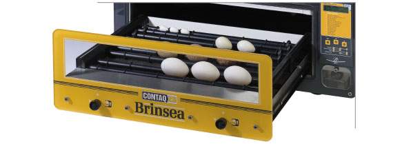 Brinsea Contact Incubation