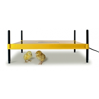 Heating plates for baby chicks | BackYard Chickens - Learn How to Raise ...